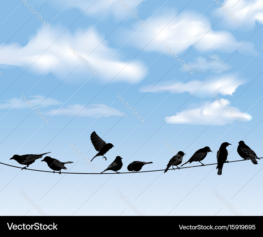 Birds on wires over blue sky background wild Vector Image