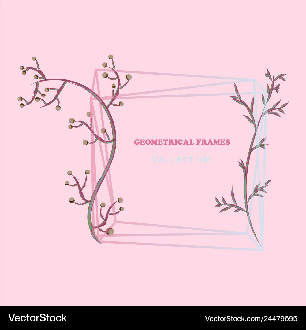 Floral elegant botanical card design with Vector Image