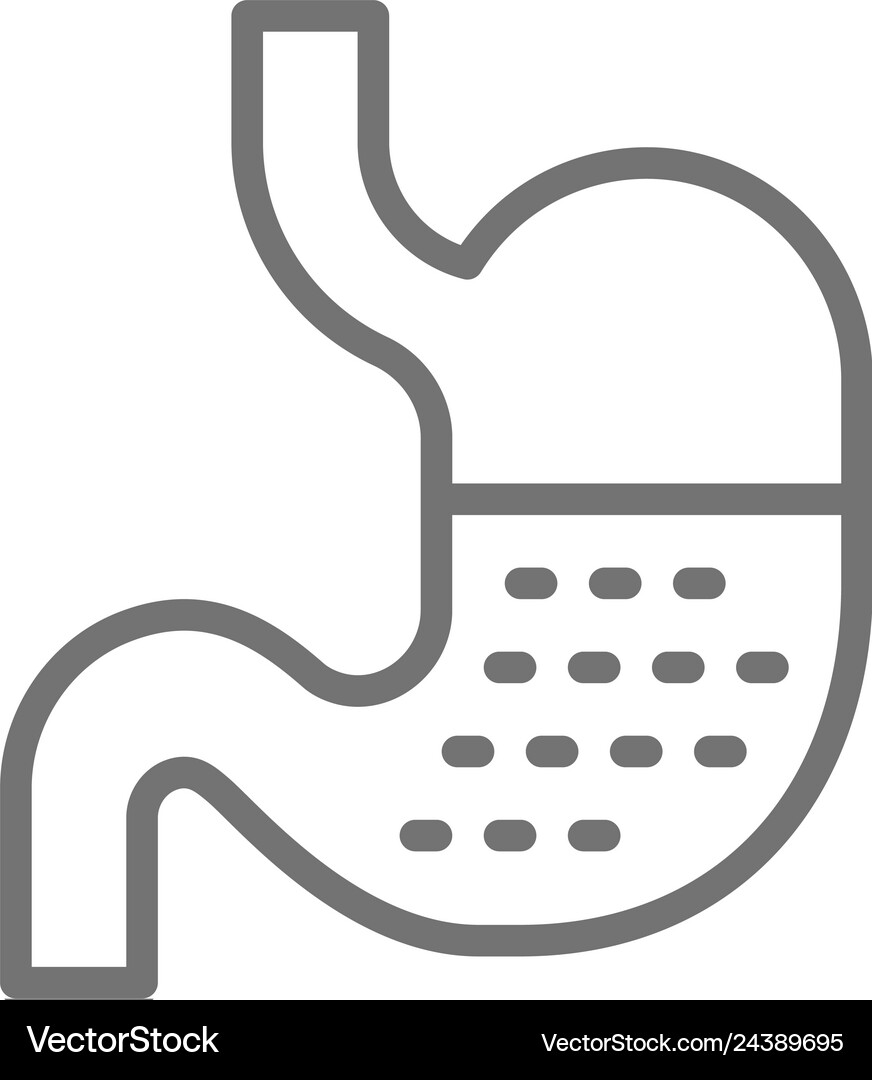 Stomach human organ line icon Royalty Free Vector Image