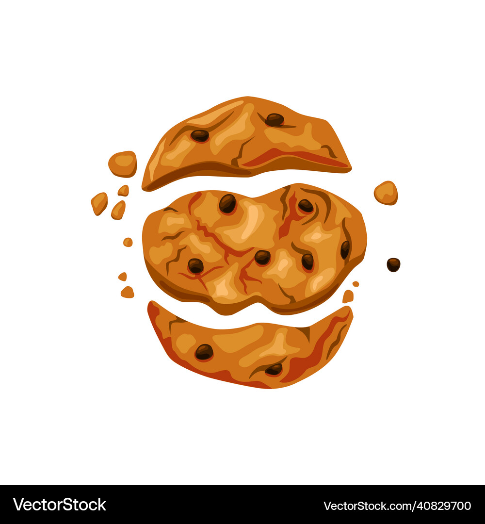 Bitten cookies with chocolate chips on a white Vector Image
