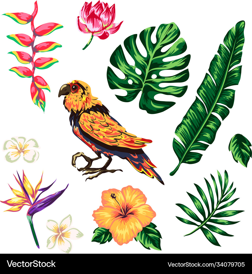 Tropical collection with exotic flowers Royalty Free Vector