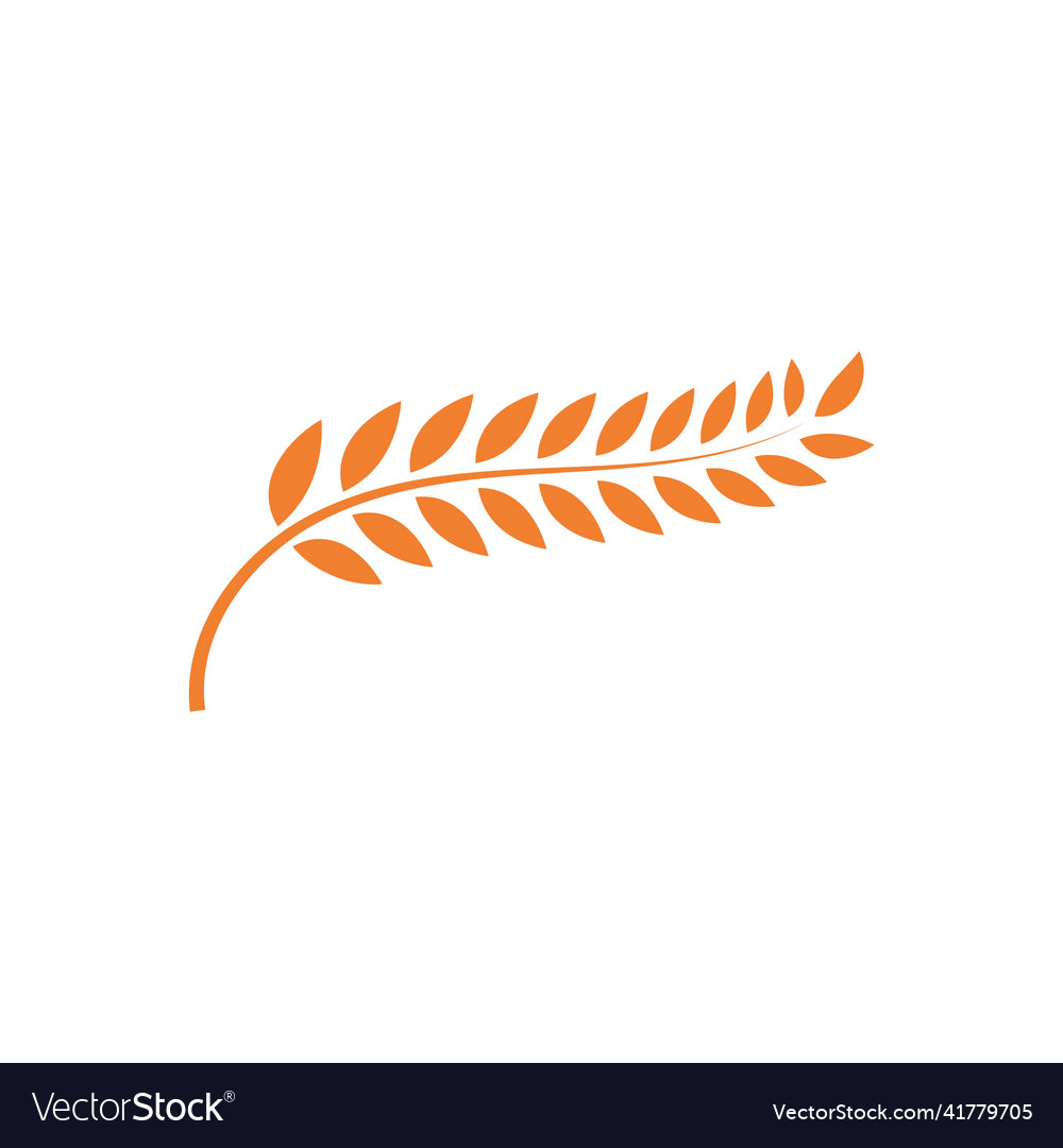 Wheat Royalty Free Vector Image - VectorStock