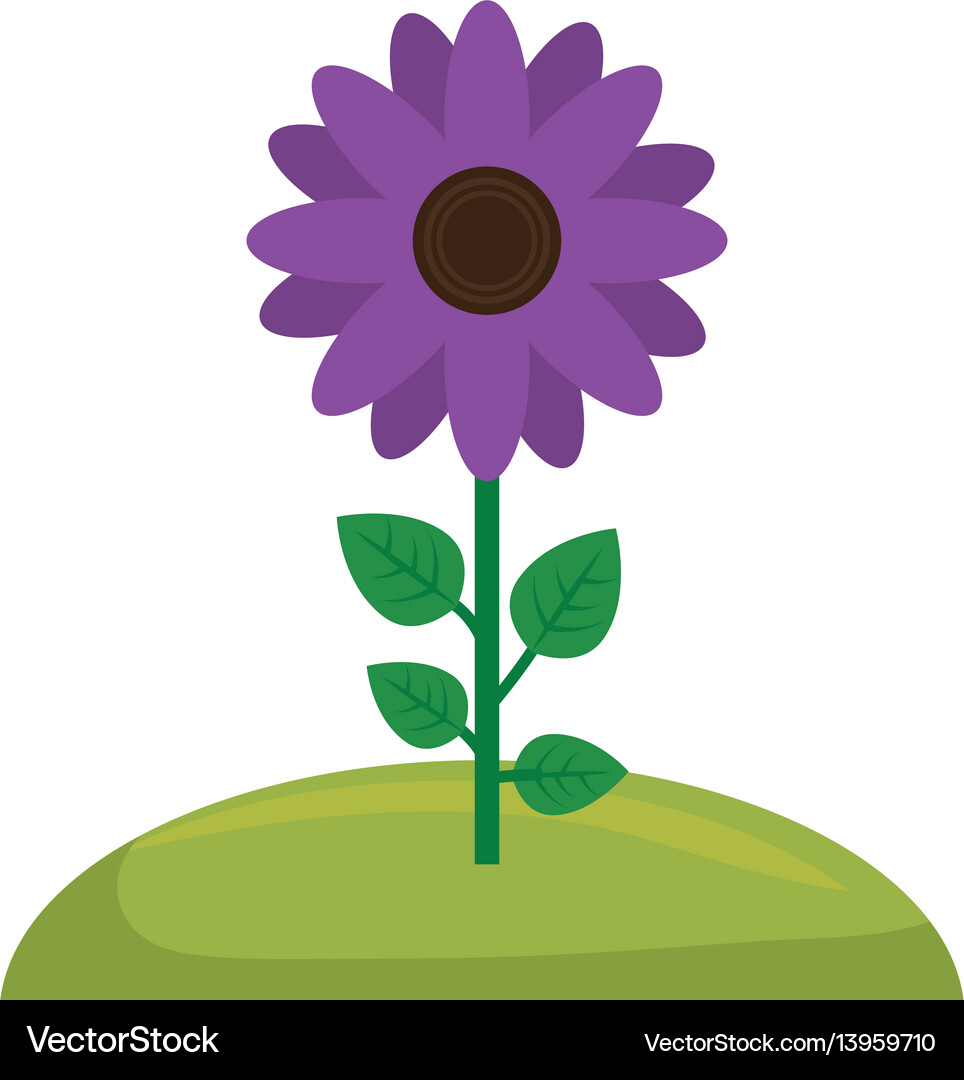 Beautiful flowers design Royalty Free Vector Image
