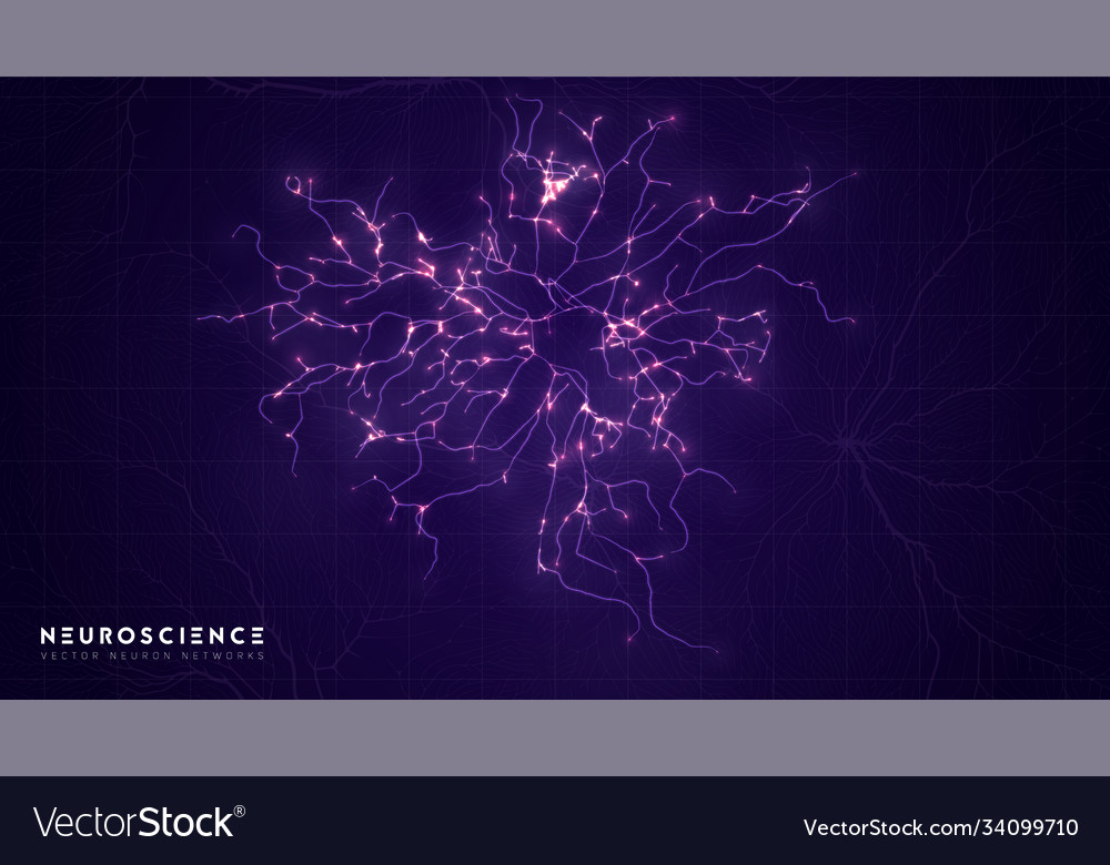 Neuron system complex model neural net structure Vector Image