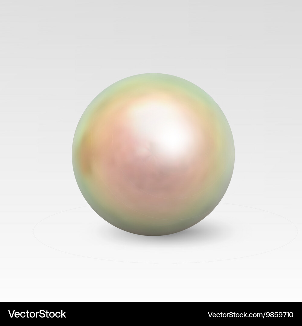 Pearl realistic isolated on white background Vector Image
