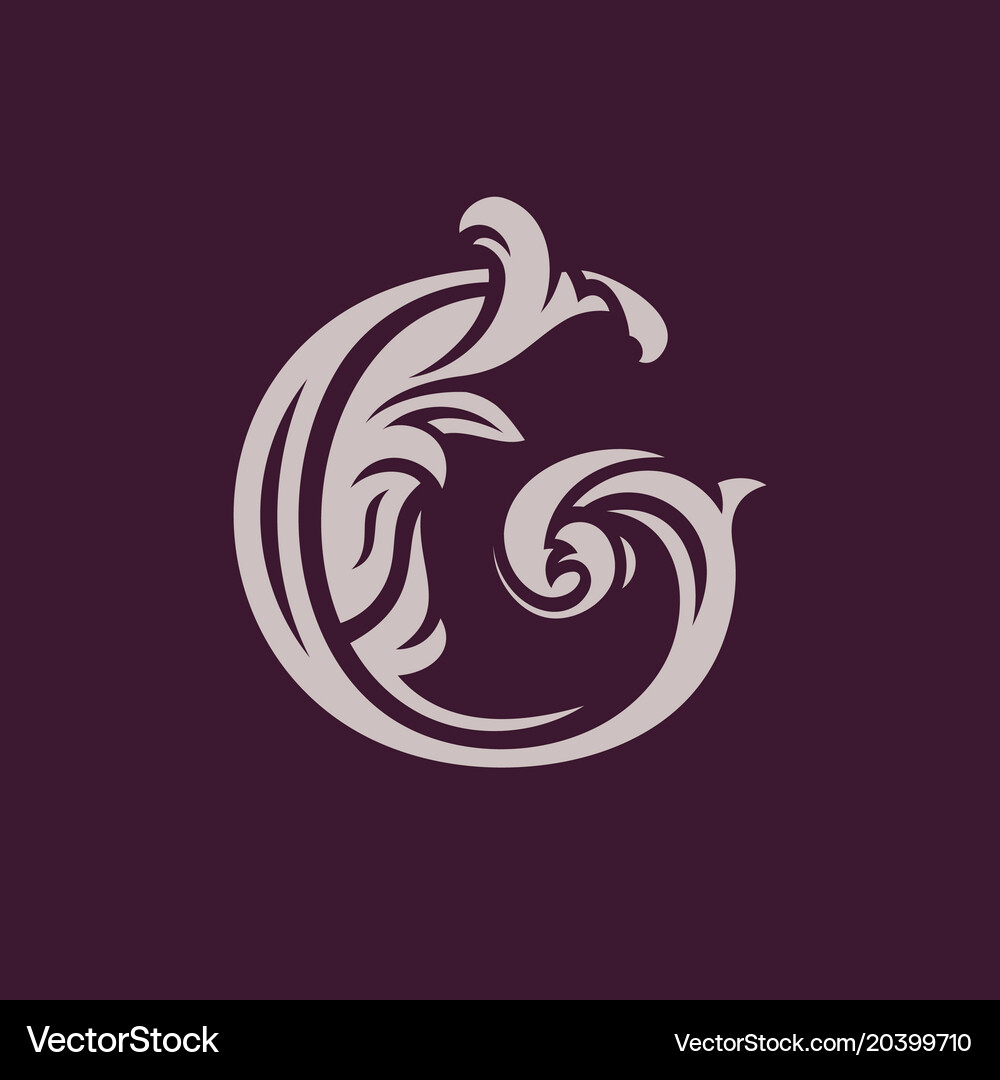 Sign the letter g Royalty Free Vector Image - VectorStock
