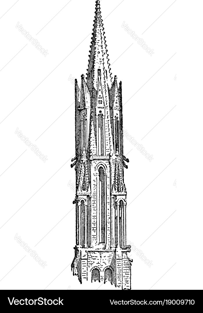 Remarkable Sketch Vector Pics