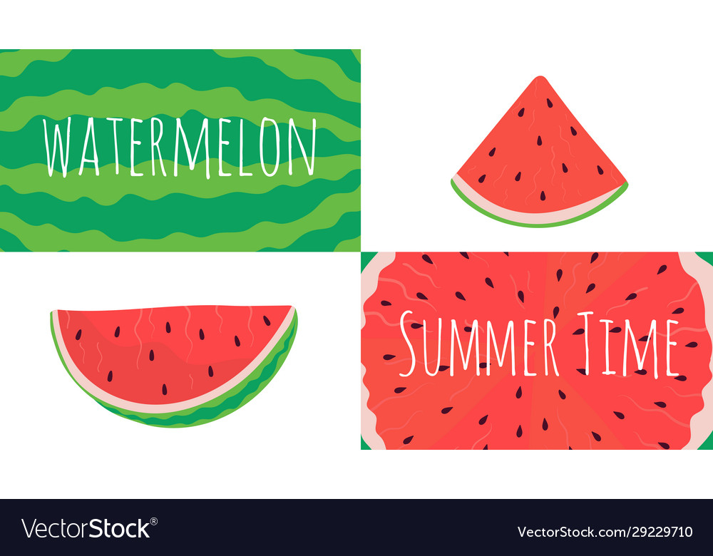 Watermelon slices collage fresh summer fruit Vector Image
