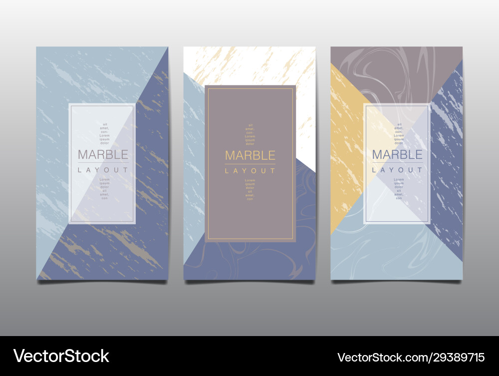 Earth tone marble template covers design Vector Image