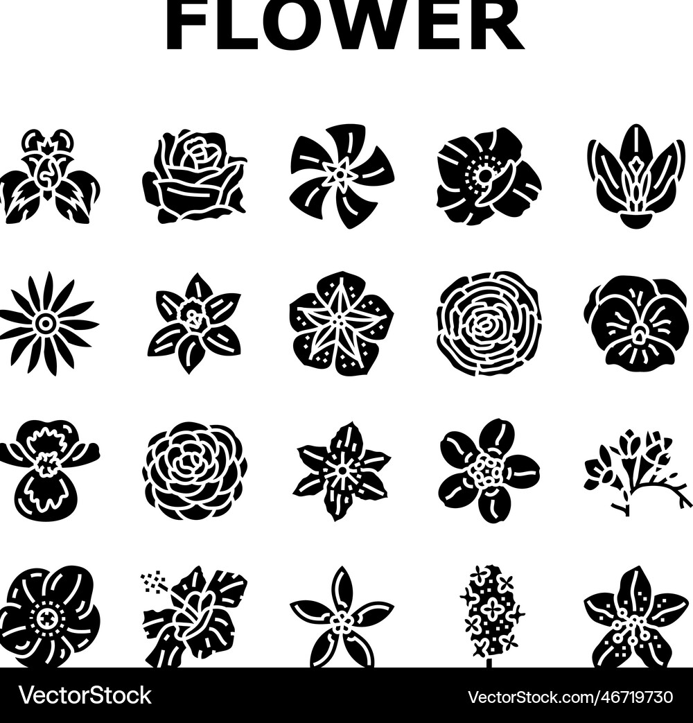 Flower blossom spring icons set Royalty Free Vector Image