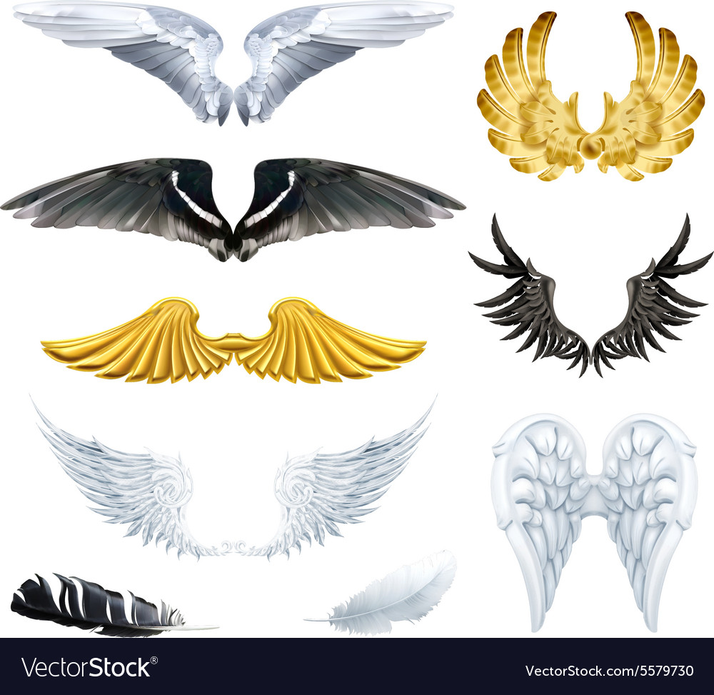 Wings set Royalty Free Vector Image - VectorStock