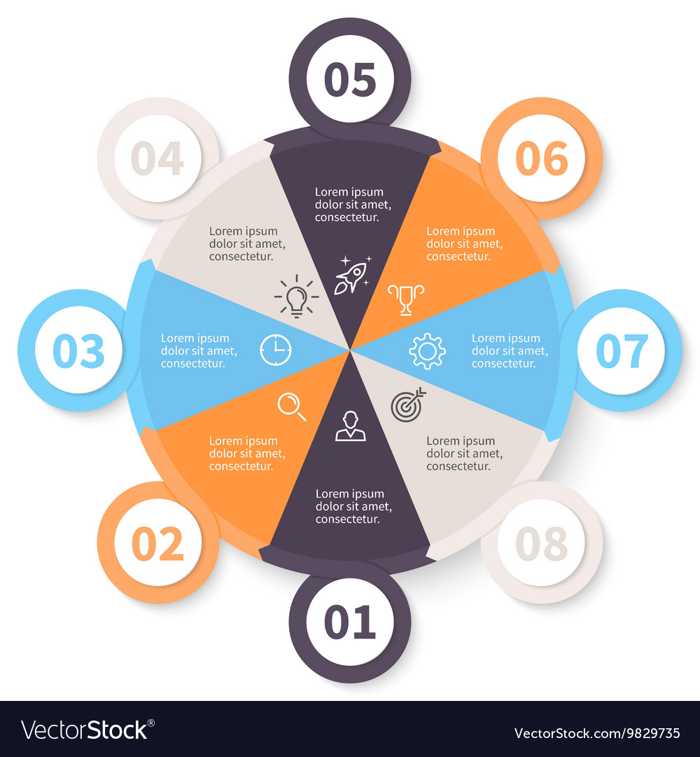 Circular infographics with number options Vector Image