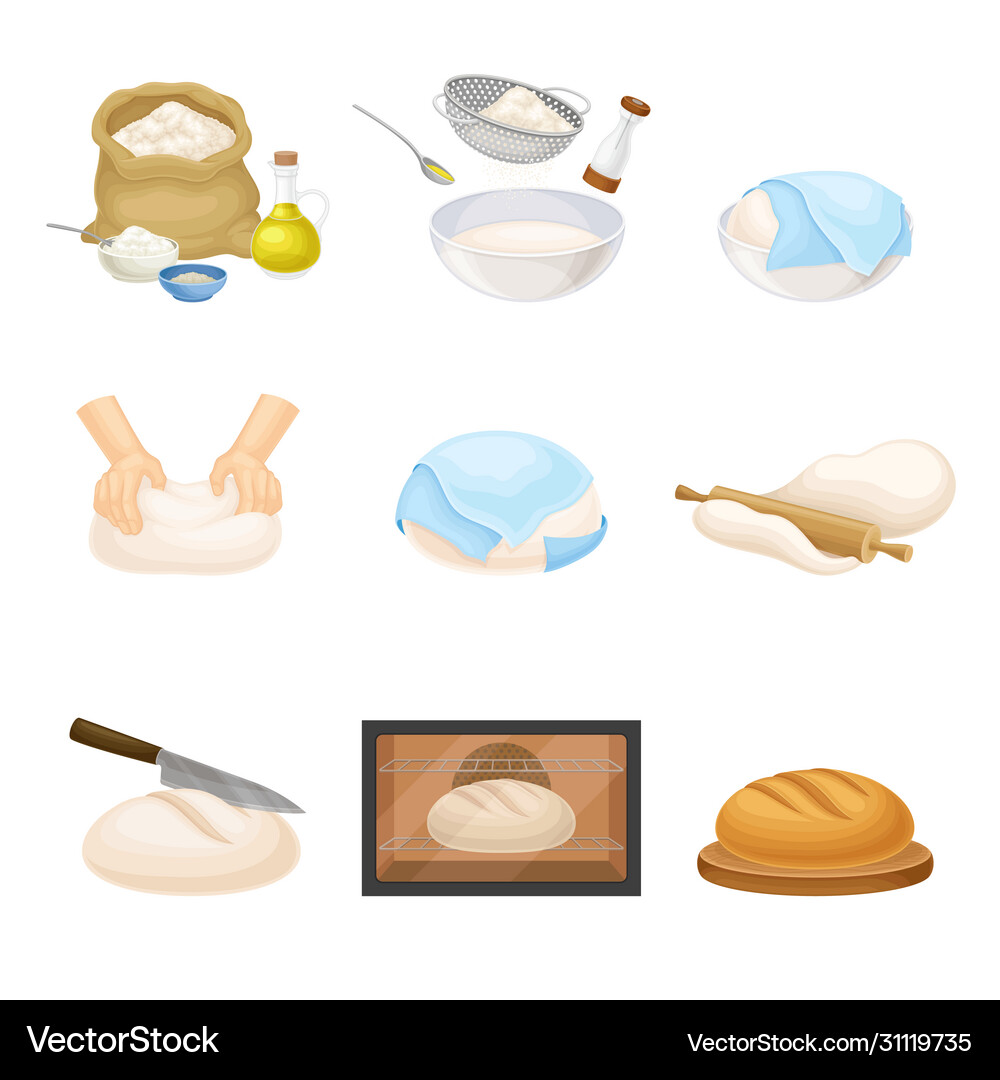 Kneading and rolling out dough for bread cooking Vector Image