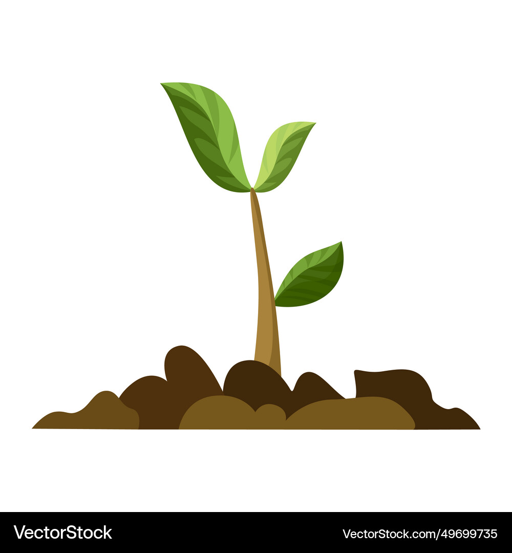 Stage of tree growth small with green Royalty Free Vector