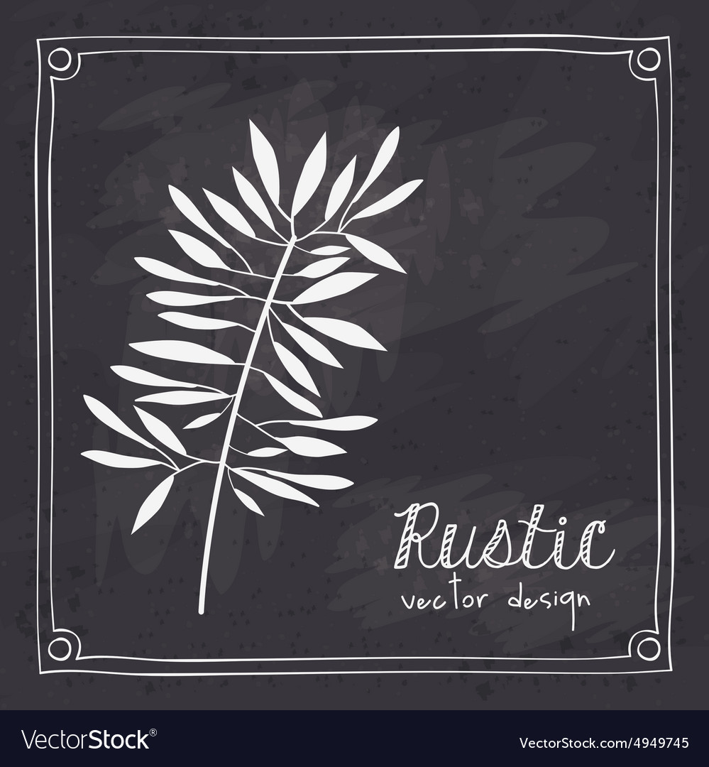Rustic design Royalty Free Vector Image - VectorStock