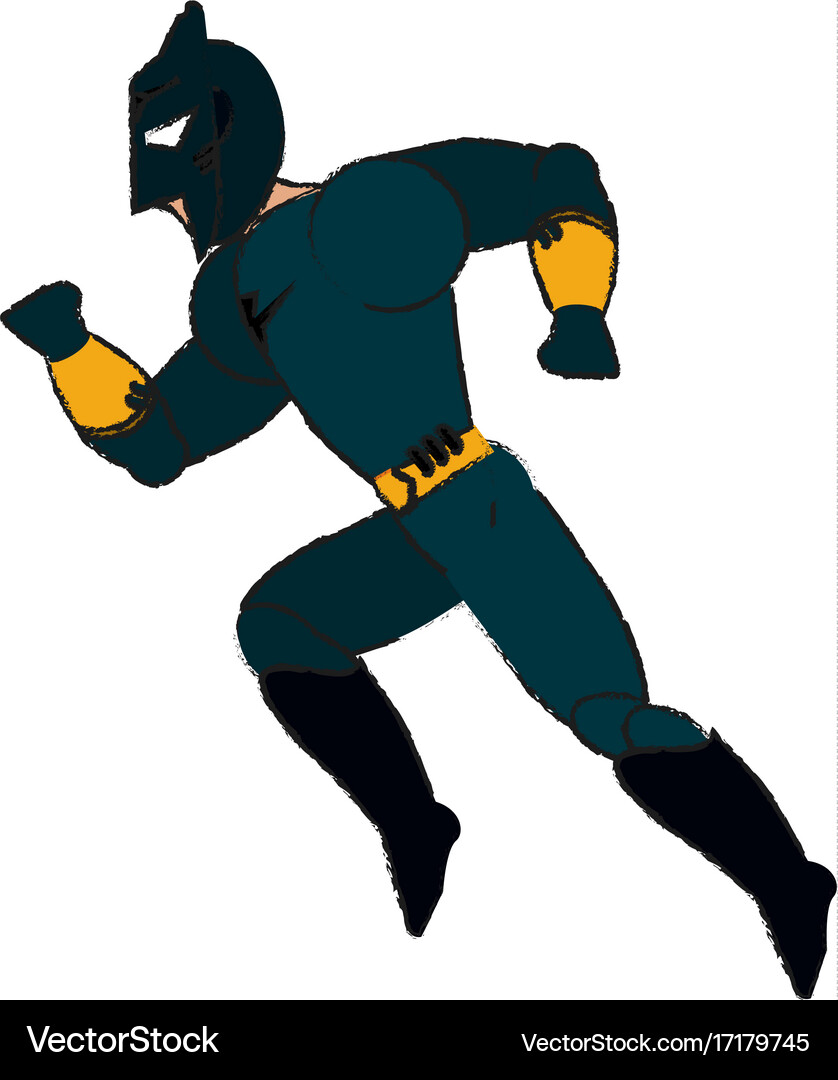 Superhero character cartoon Royalty Free Vector Image