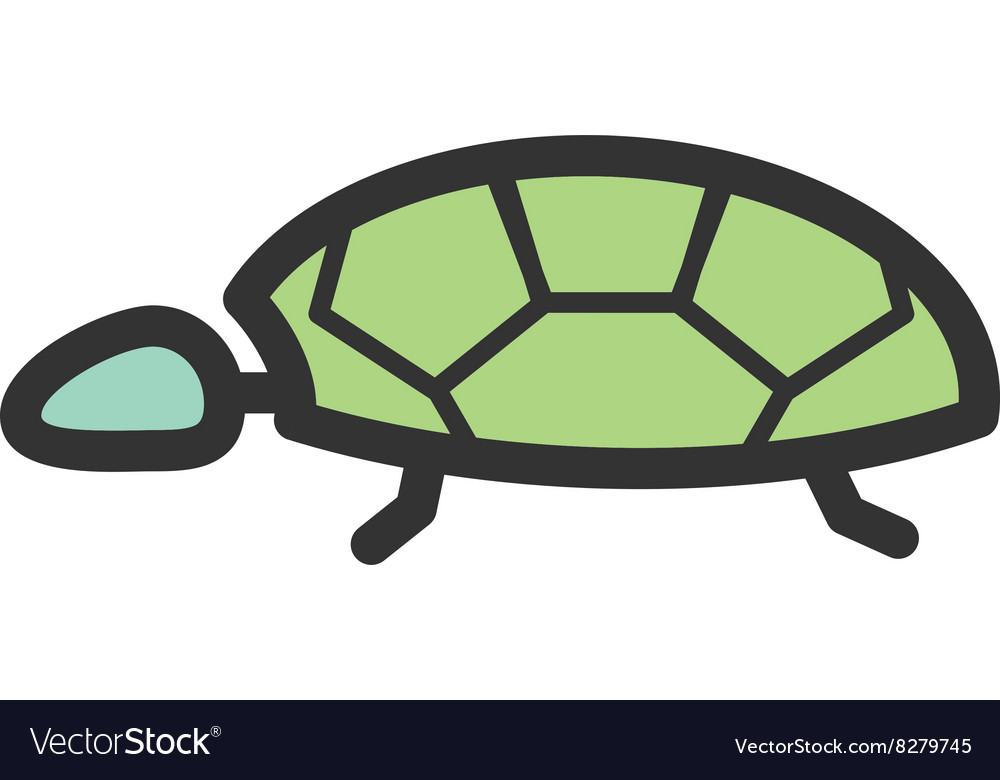 Turtle Royalty Free Vector Image - VectorStock