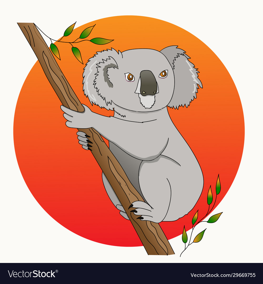 Australian Koala Clip Art