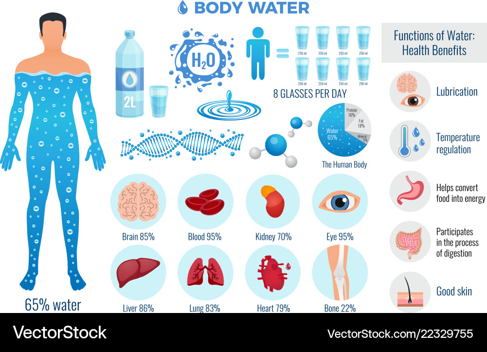 Body and water set Royalty Free Vector Image - VectorStock