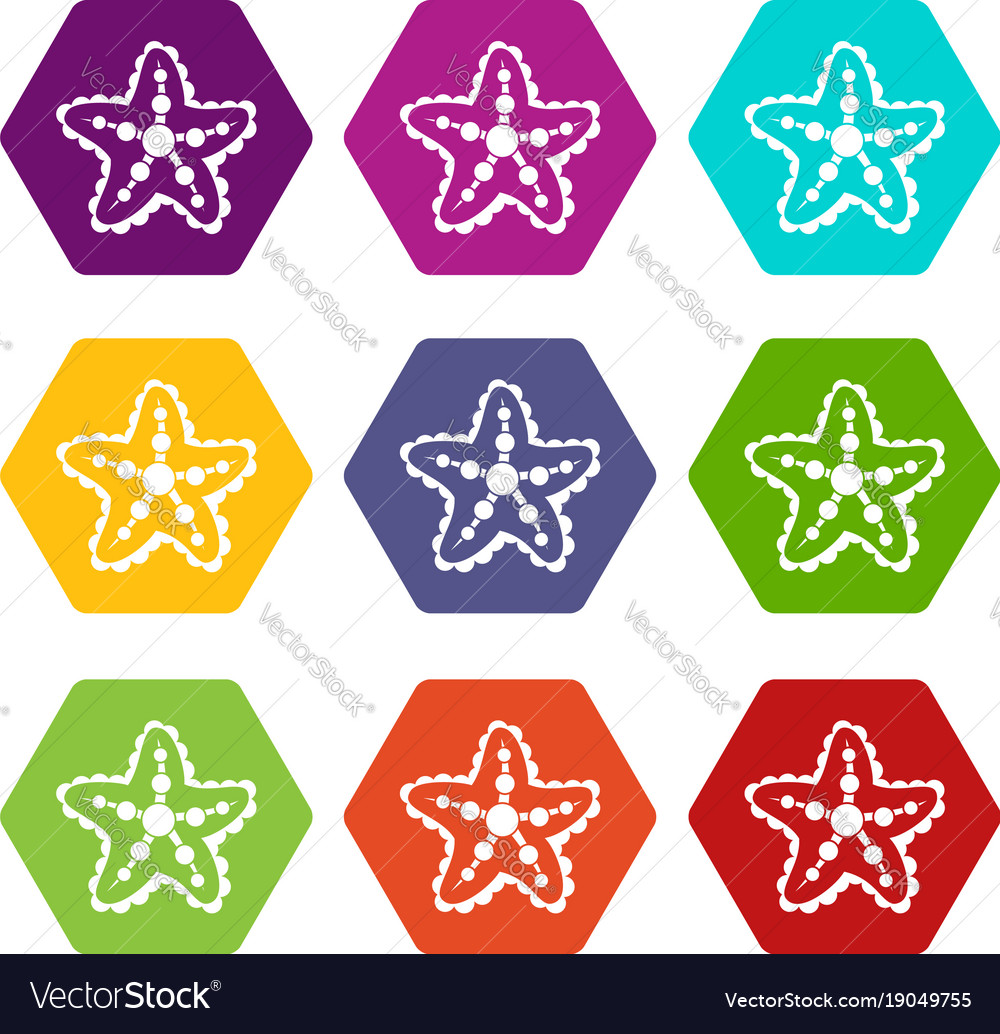 Starfish icon set color hexahedron Royalty Free Vector Image