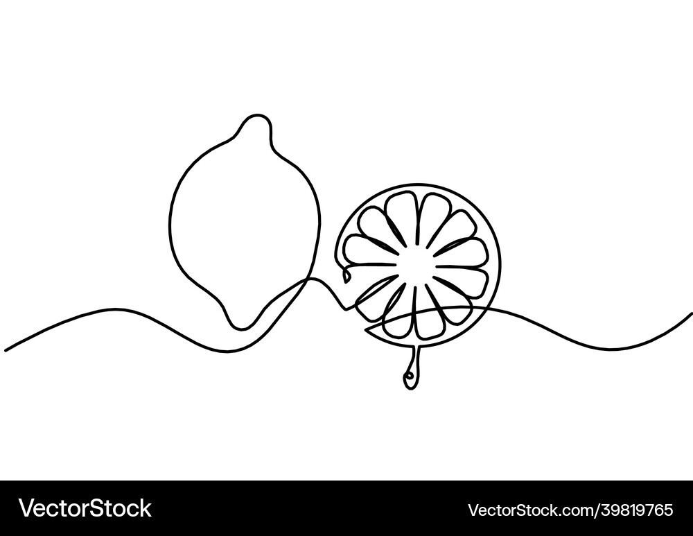 Drawing line lemon with drop on the white Vector Image