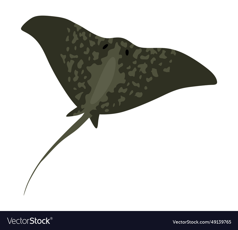 Stingray fish sea animal floating underwater Vector Image