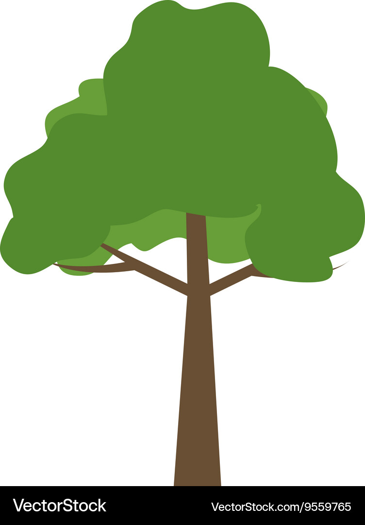 Tree Royalty Free Vector Image - VectorStock
