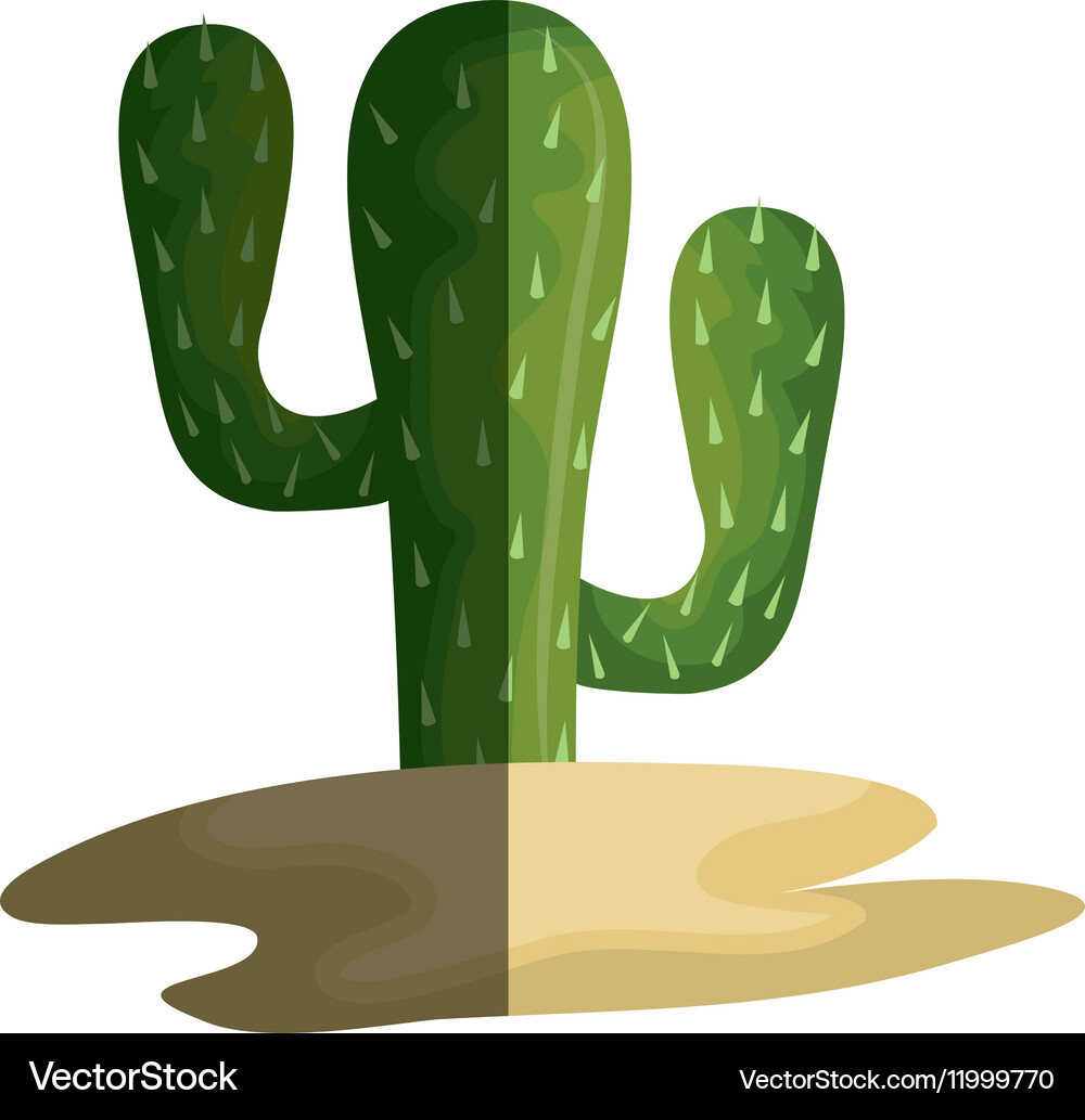 Cactus desert plant icon Royalty Free Vector Image