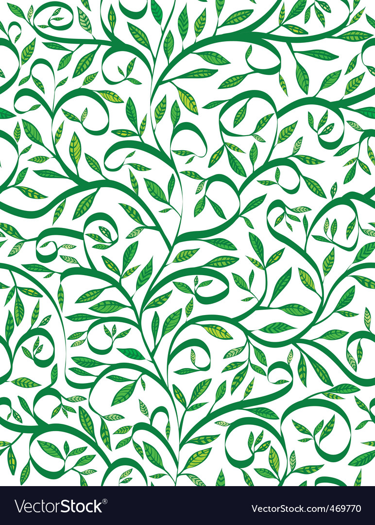 Spring leaves Royalty Free Vector Image - VectorStock