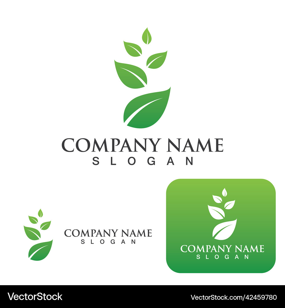 Betel leaf logo and symbol Royalty Free Vector Image