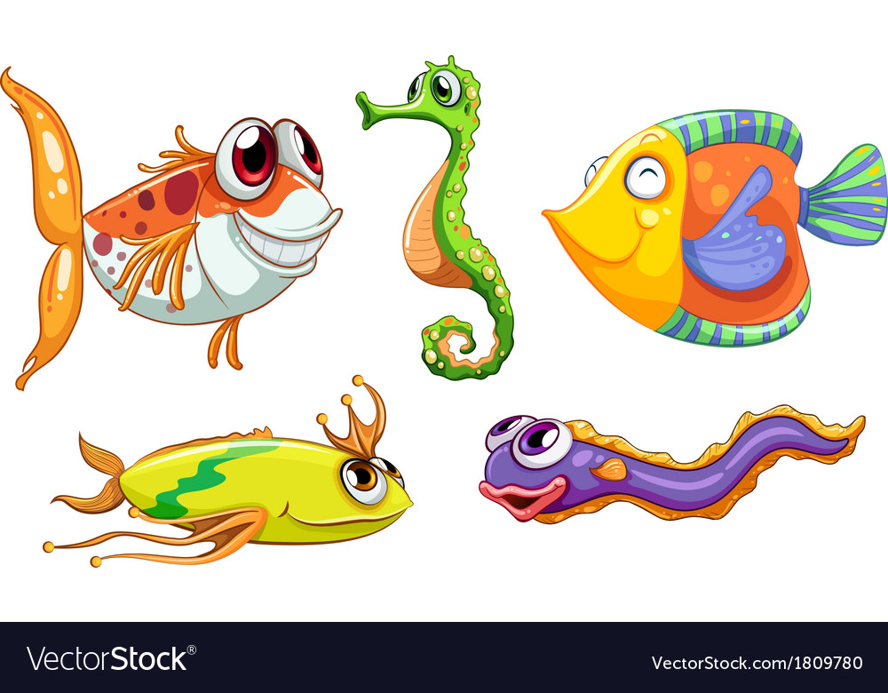 Five sea creatures Royalty Free Vector Image - VectorStock
