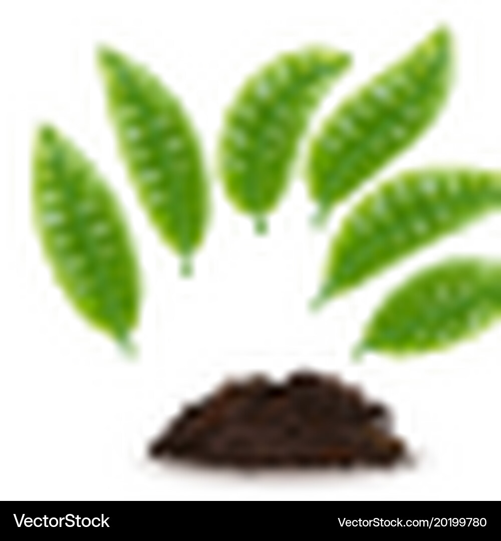 Realistic detailed 3d elements set of tea Vector Image