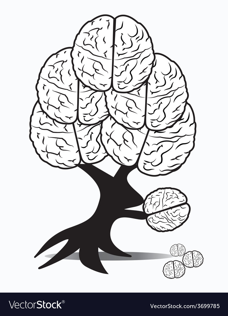 Brain tree Royalty Free Vector Image - VectorStock