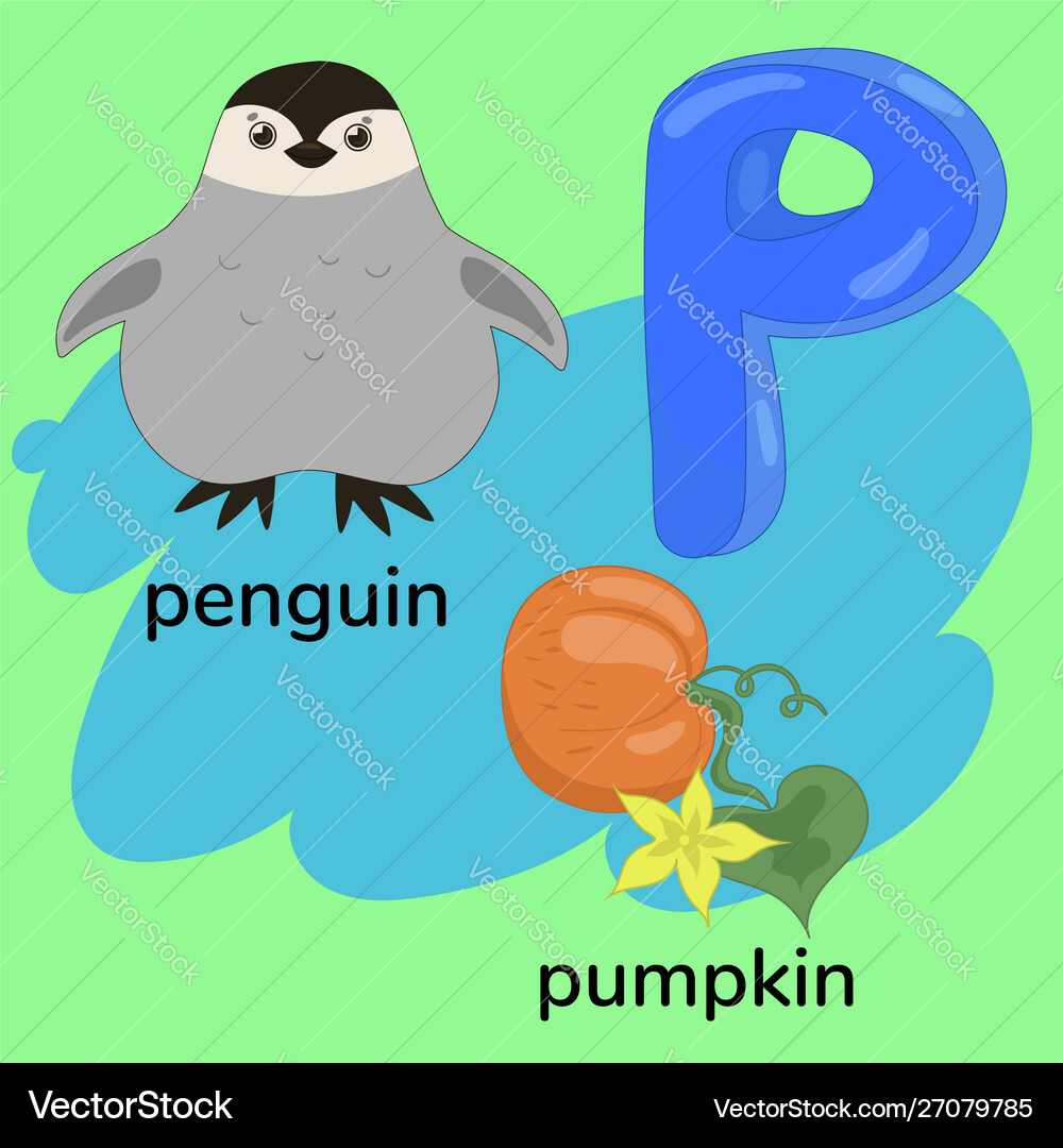 Letter p child s alphabet graphics Royalty Free Vector Image
