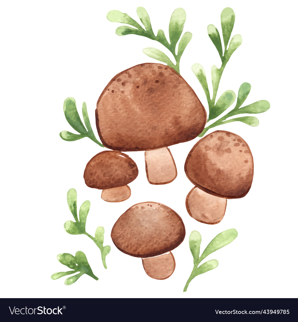 Shitake mushroom with fern watercolor Royalty Free Vector Shitake mushroom with fern watercolor Royalty Free Vector