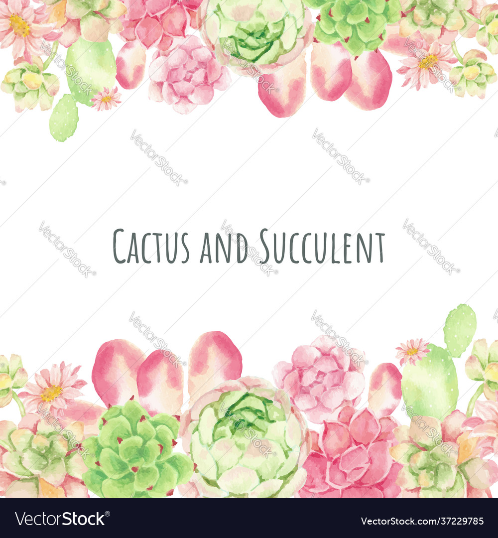 Watercolor cactus and succulent square banner Vector Image