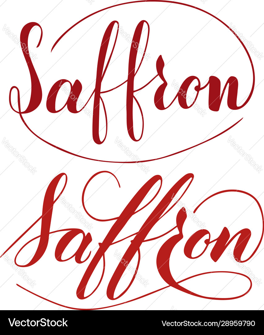 Hand written saffron text isolated on white Vector Image