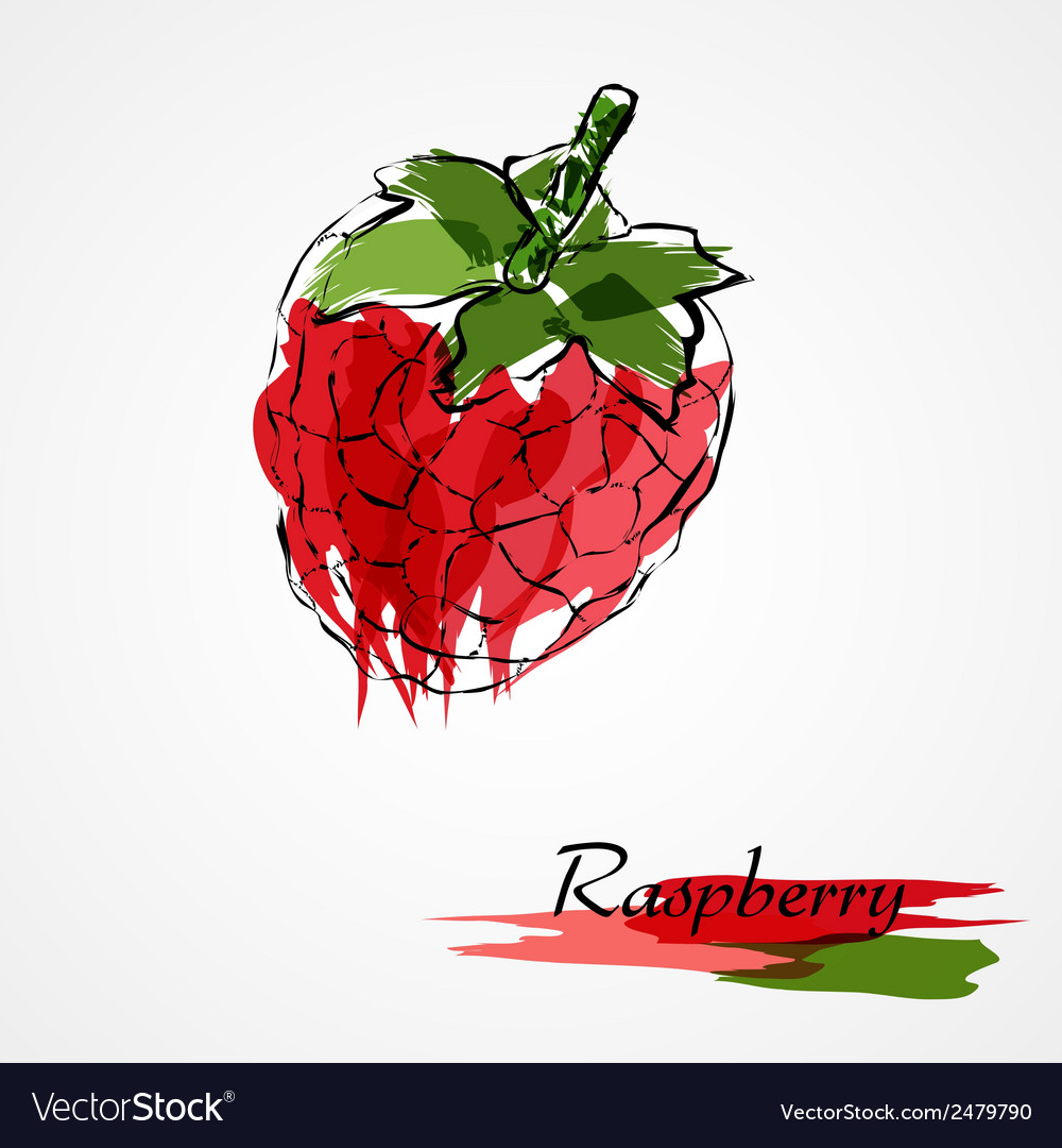 Raspberry fruit Royalty Free Vector Image - VectorStock