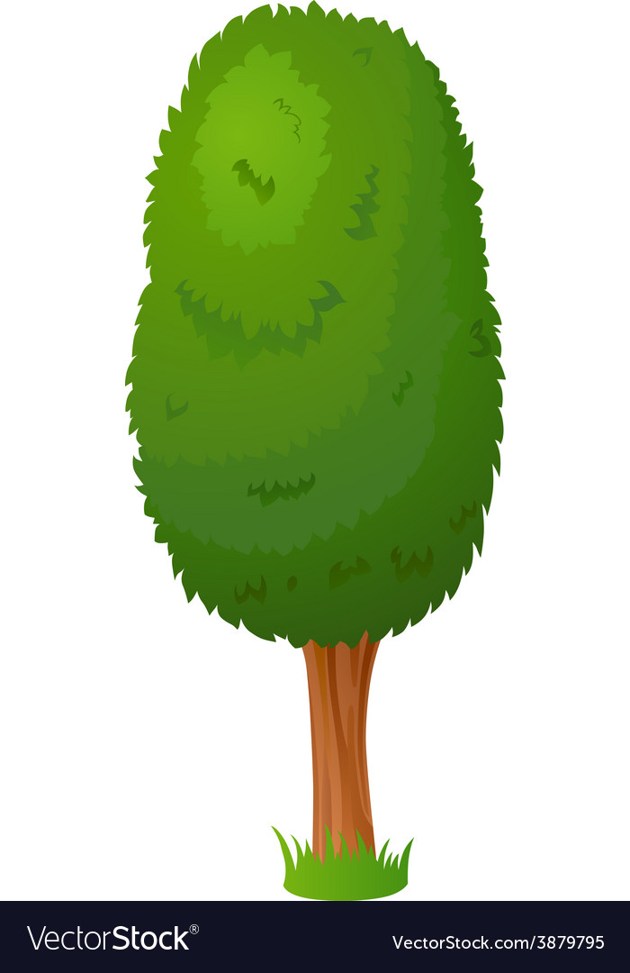 Cartoon tree Royalty Free Vector Image - VectorStock