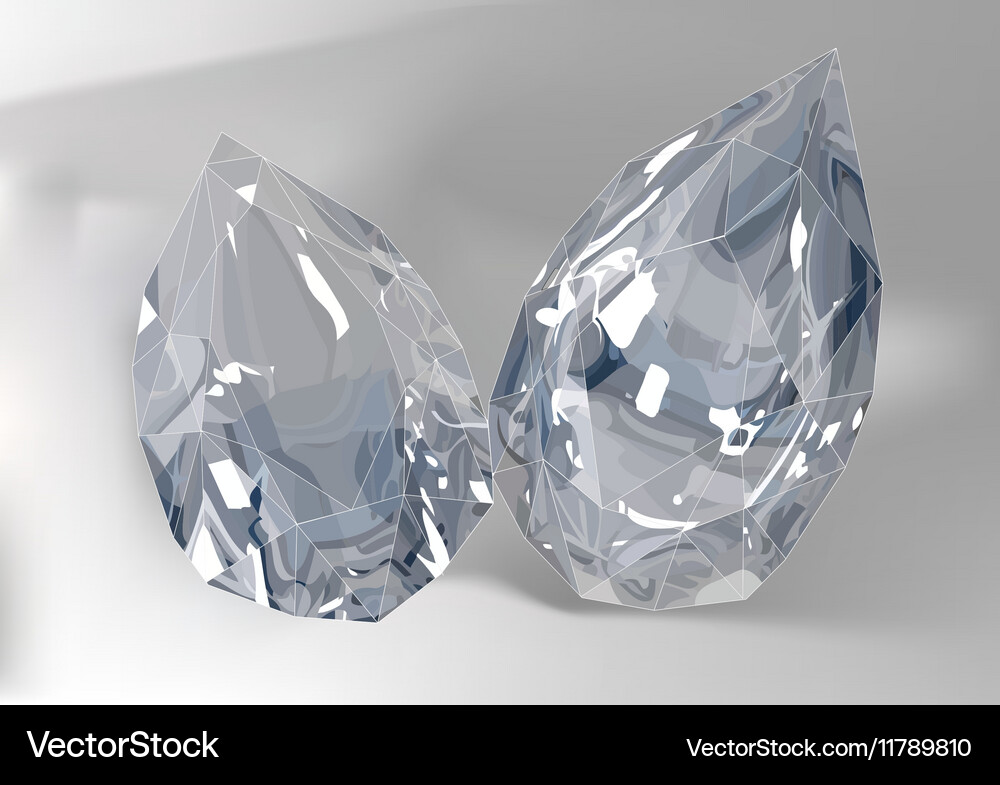 Cut of gemstones pear Royalty Free Vector Image