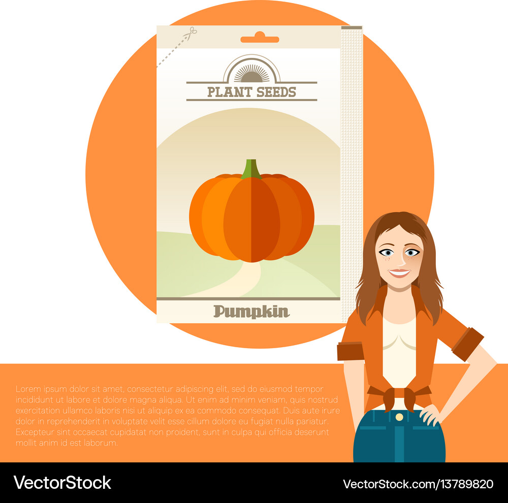 Pack of pumpkin seeds Royalty Free Vector Image