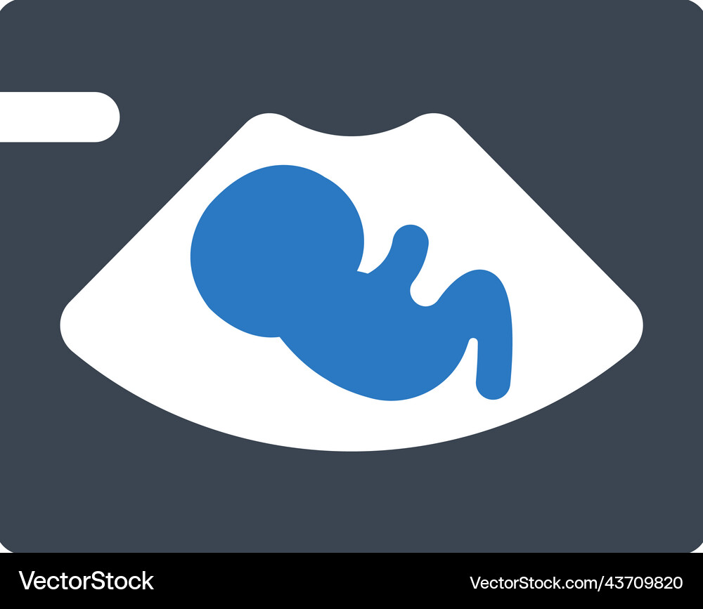 Pregnancy ultrasound icon Royalty Free Vector Image