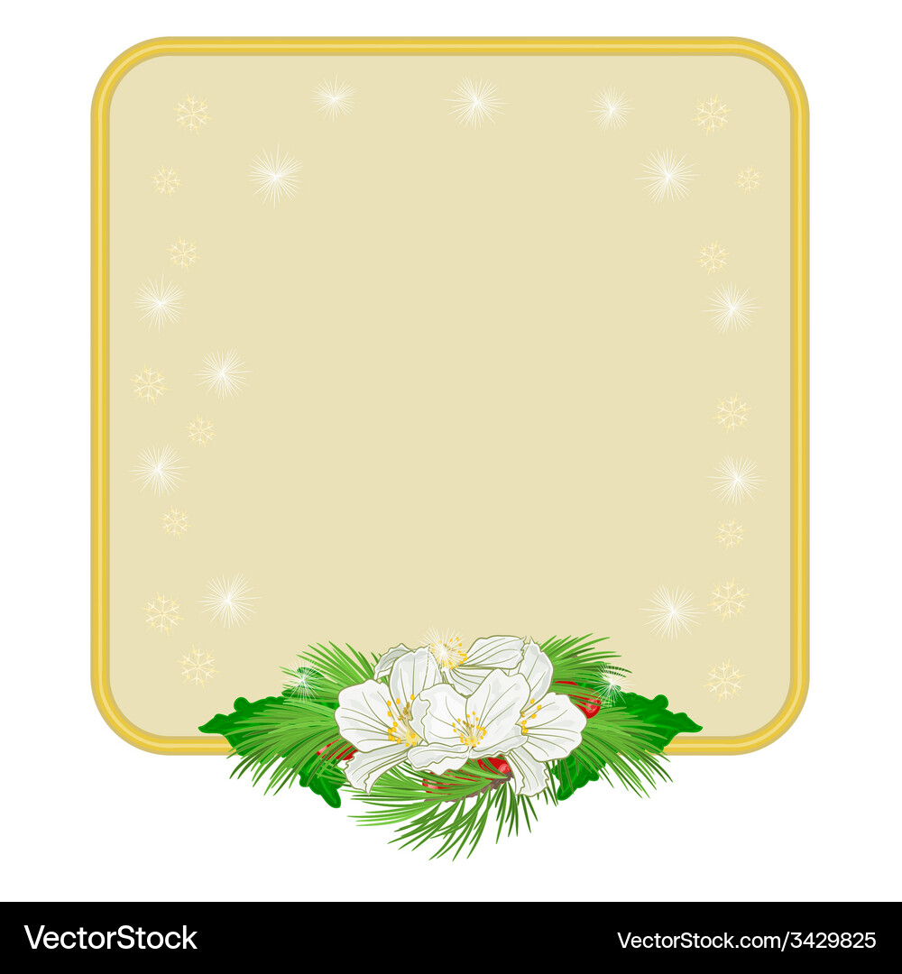 Christmas decoration frame with white flowers Vector Image