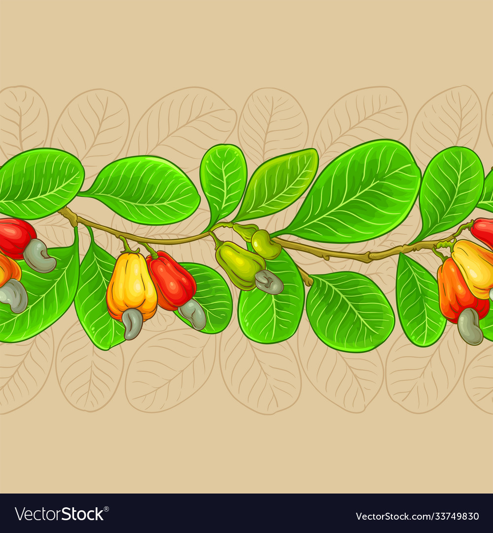 Cashew pattern Royalty Free Vector Image - VectorStock