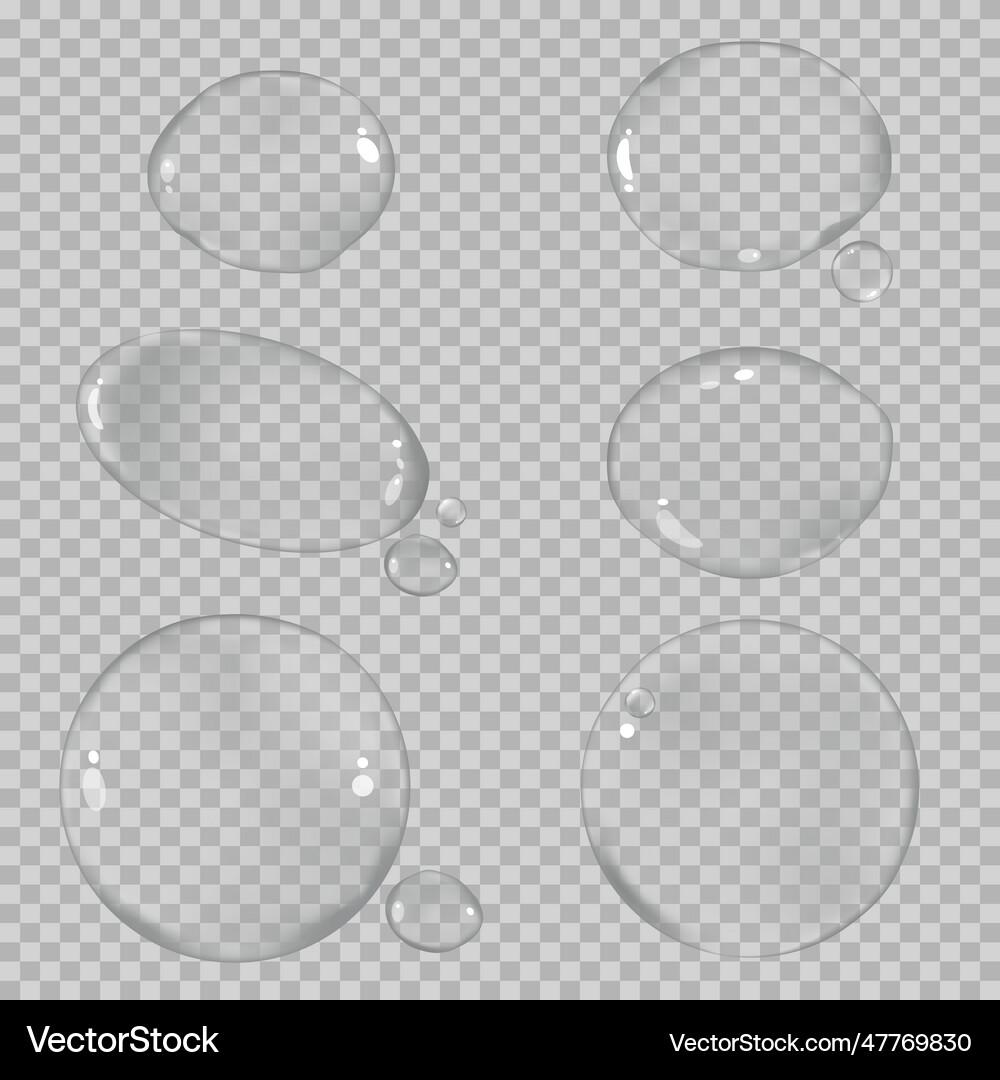 Pure clear water drop on transparent in grey Vector Image