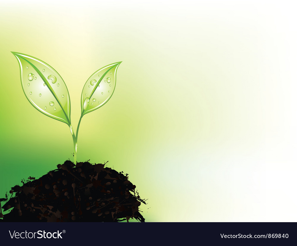 Eco background Royalty Free Vector Image - VectorStock