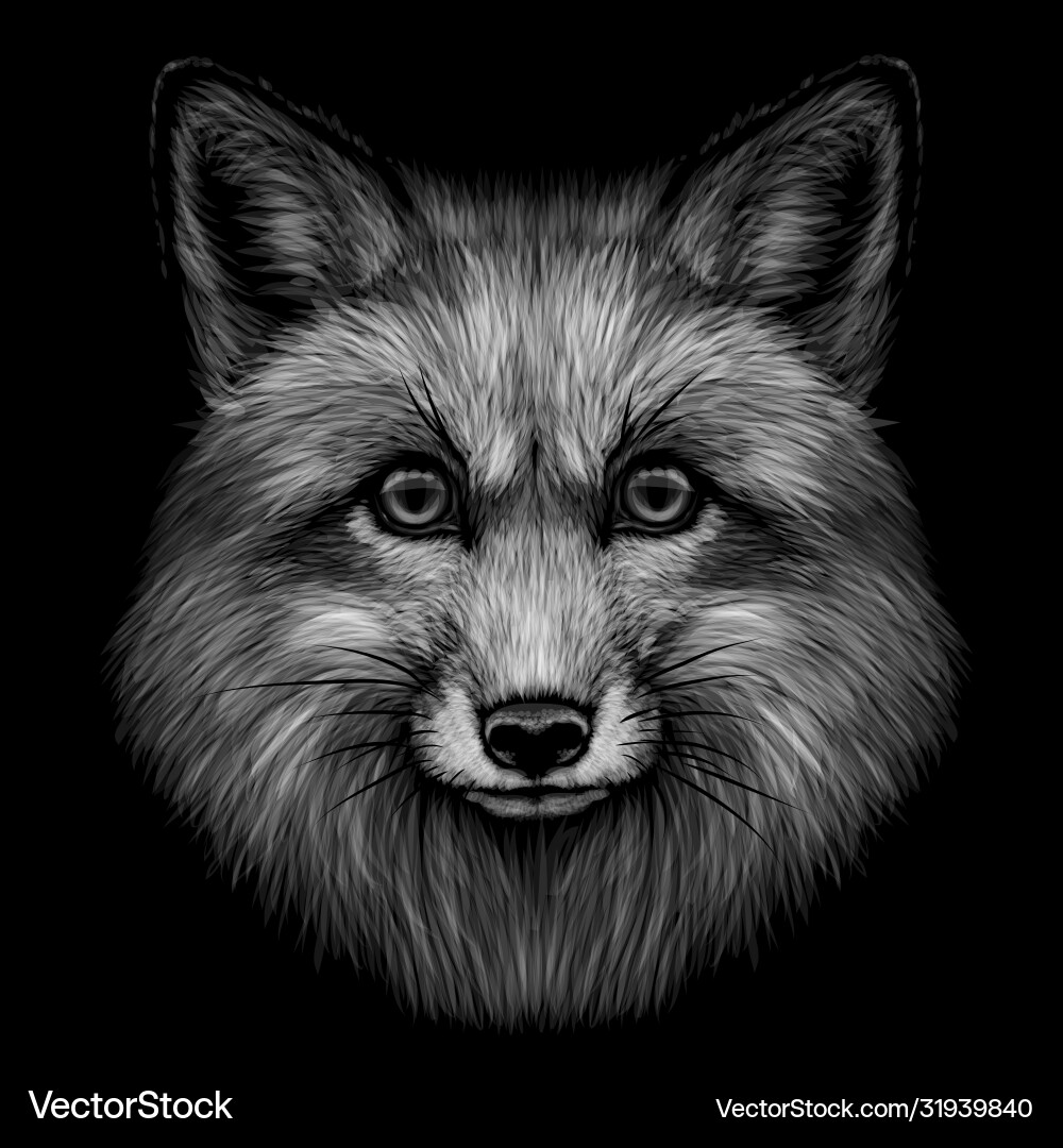 Fox black and white graphic portrait fox Vector Image