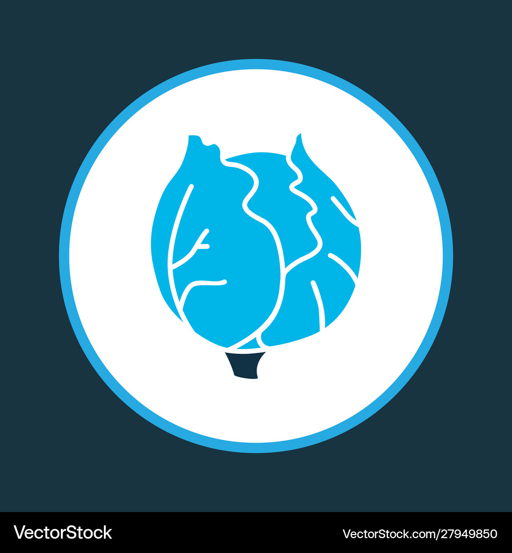 Cauliflower icon colored symbol premium quality Vector Image