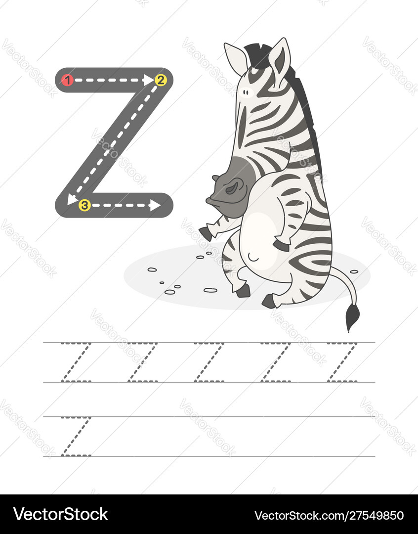 Funny zebra and letters z Royalty Free Vector Image