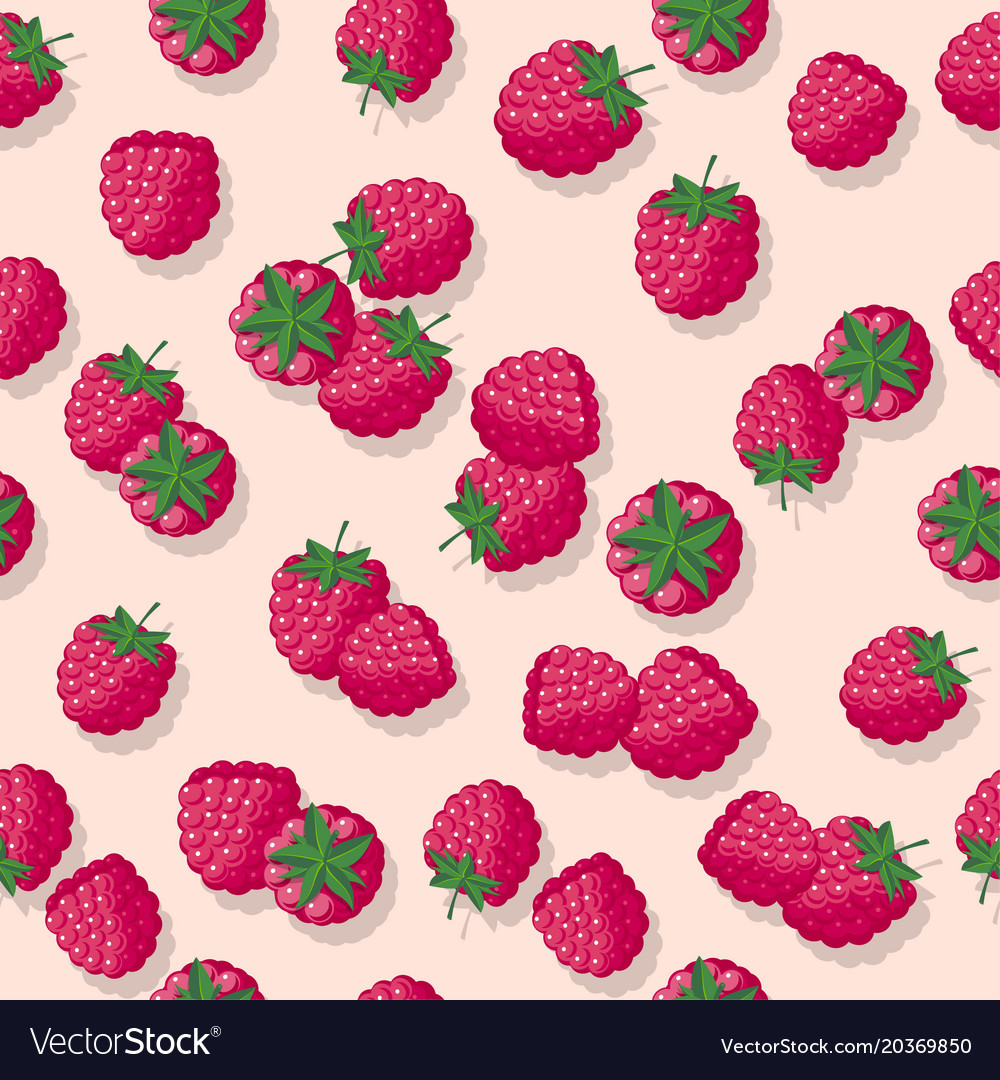 Seamless pattern raspberry Royalty Free Vector Image